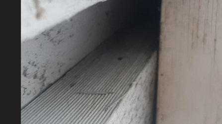 Frage: Bretter Kanten mit feinen Rillen - Fräsen? - Beantwortet ...